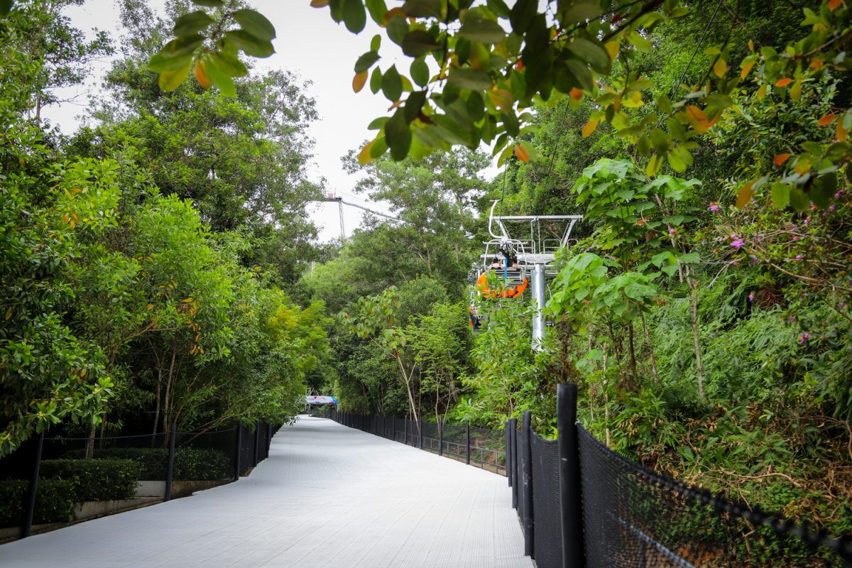 Escape Penang launches two new attractions - Asean Food Travel